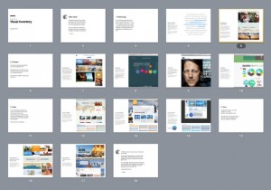 A Closer Look at the Visual Inventory